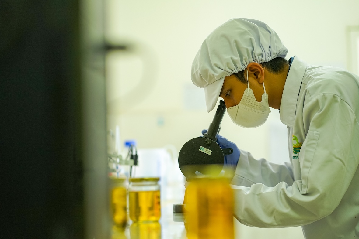 Career - Satoria Nutrisentials